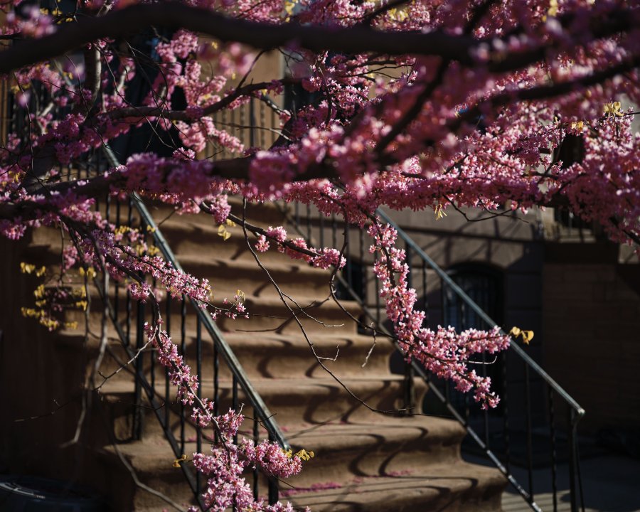 Projects | chris brooks